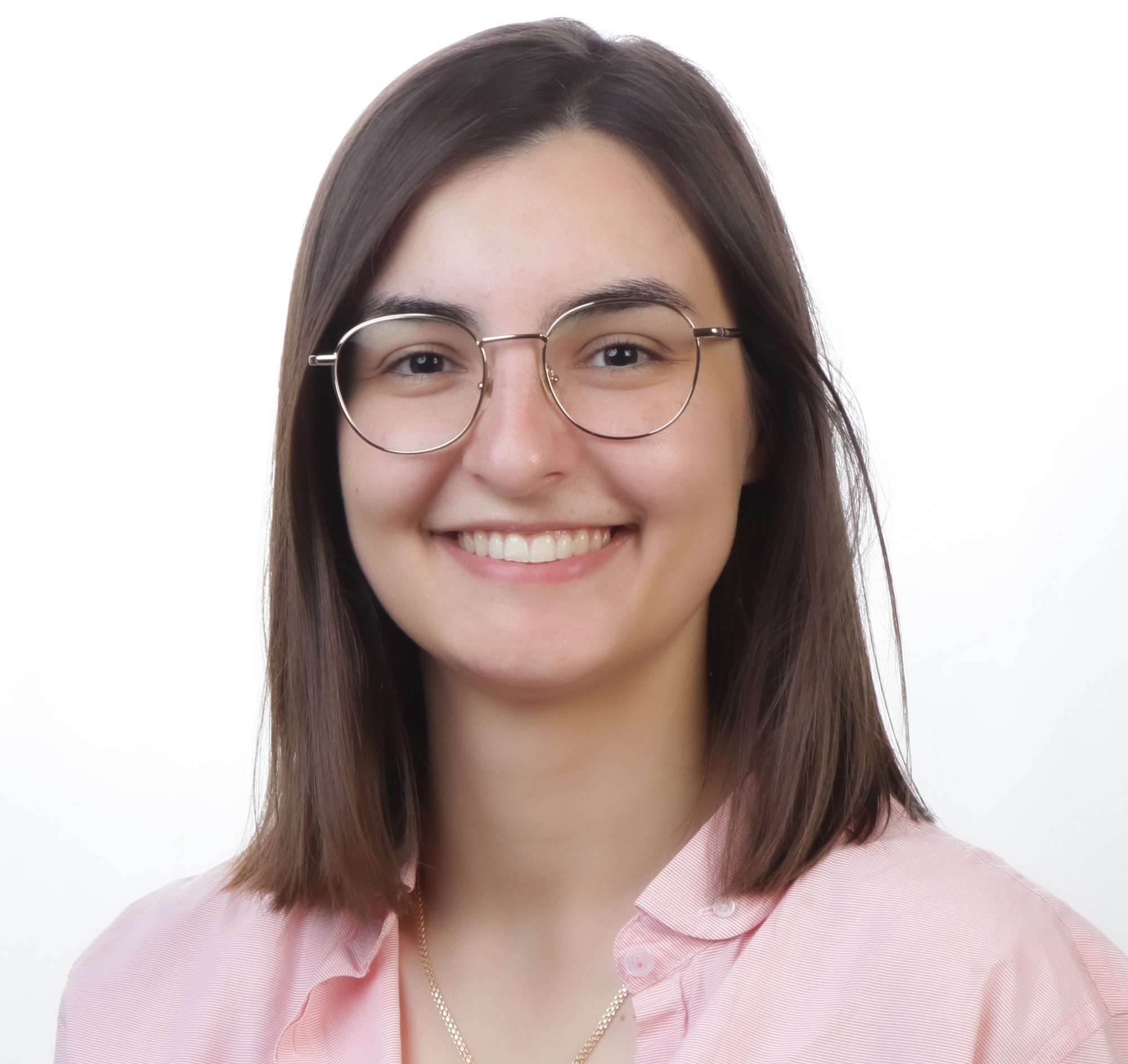 :: Loures Município :: Composição