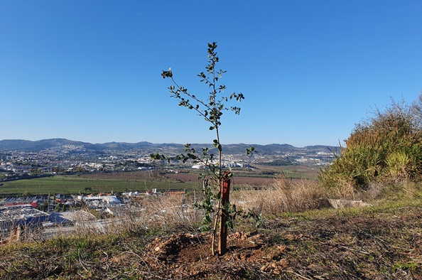 :: Loures Município :: Primeira fase de requalificação paisagística do ...
