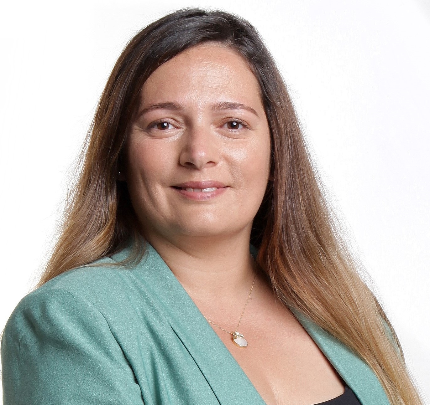 :: Loures Município :: Composição